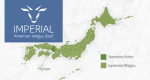 Wagyu Beef Myths—And, How to Find the Best American Wagyu